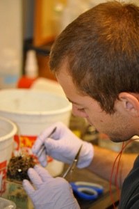 Join Us – Heath Lab